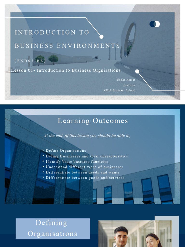 IBE - Introduction To Business Organisations | PDF | Goods | Business