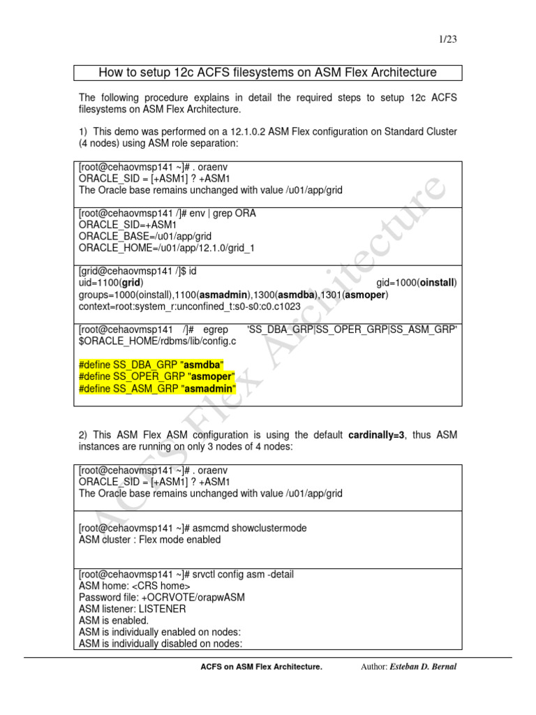 How To Setup 12c R1 ACFS On ASM Flex Architecture-Demo | PDF | Online ...