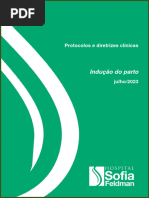 TRABALHO DE PARTO PREMATURO Revisão 2020 PROTOCOLO SOFIA FELDMAN | PDF | Parto | Gravidez