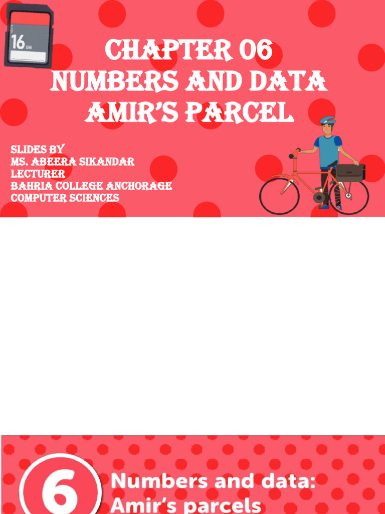 Amir's Parcel | PDF | Spreadsheet | Data