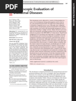 The Cascade Stomach - Revisited in The 21st Century - What Has Changed ...