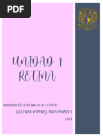 Capas de La Retina | PDF | Retina | Percepción visual