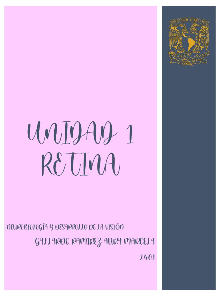 Neurobiologia Aura | PDF | Retina | Percepción visual