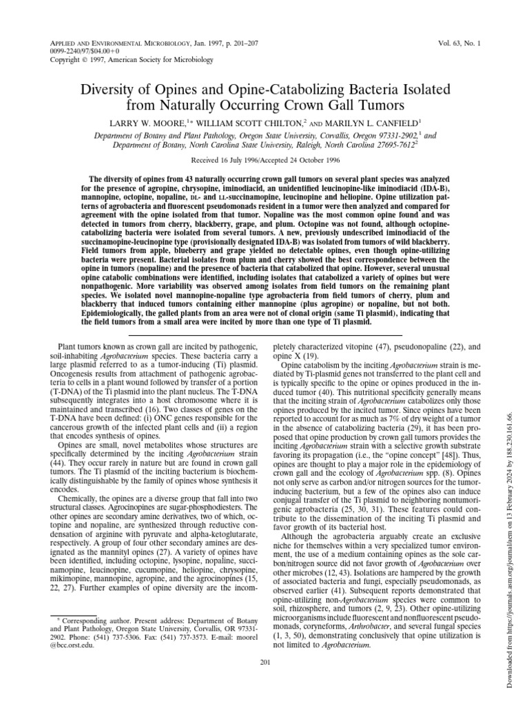 Moore Et Al 1997 Diversity of Opines and Opine Catabolizing Bacteria ...