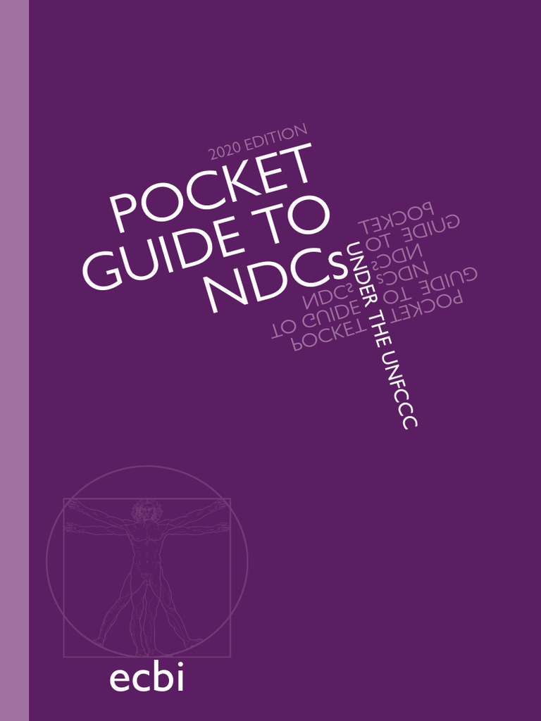 2020 Pocket Guide To Ndcs | PDF | United Nations Framework Convention ...