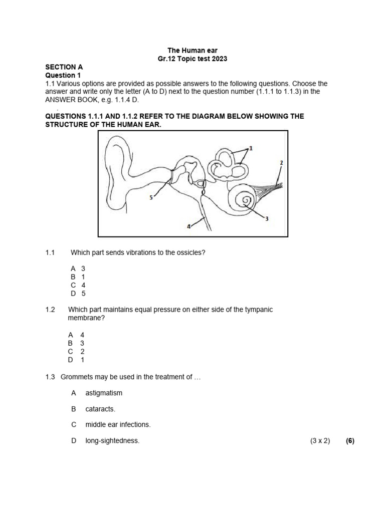 Human Ear Structure and Function Test | PDF | Ear | Hearing