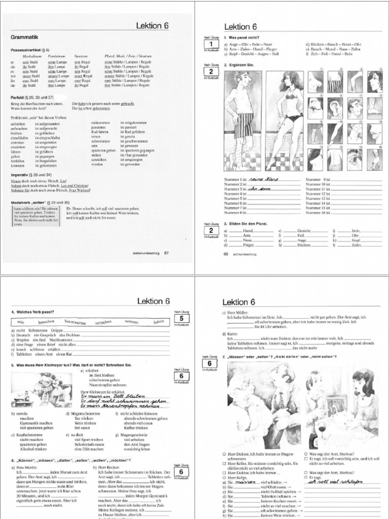 Themen Neu 1 - Arbeitsbuch-34-36 | PDF