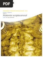 Fundamentos Anatómicos de La Columna Vertebral en Imágenes Diagnósticas. | PDF | Vértebra | La ...