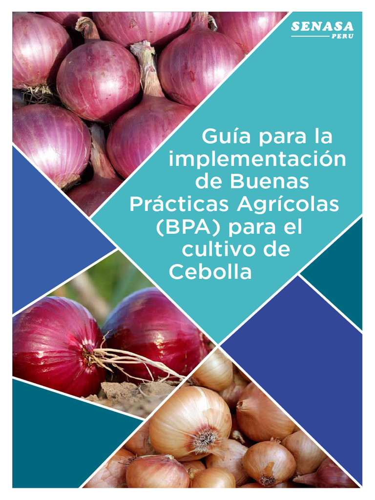 Guía-BPA Cebolla PDF | PDF | Pesticida | Fertilizante