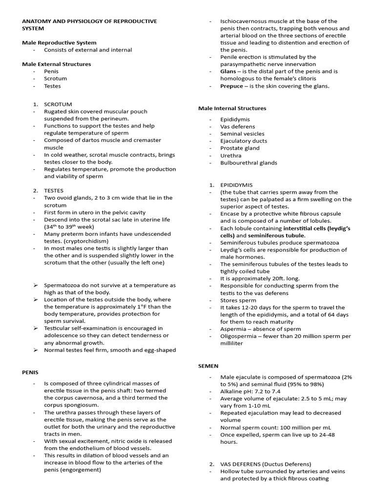 Anatomy and Physiology of Reproductive System | PDF | Uterus | Testicle