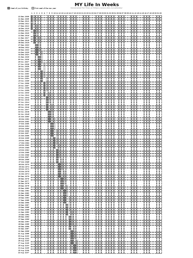 My Life Calendar | PDF