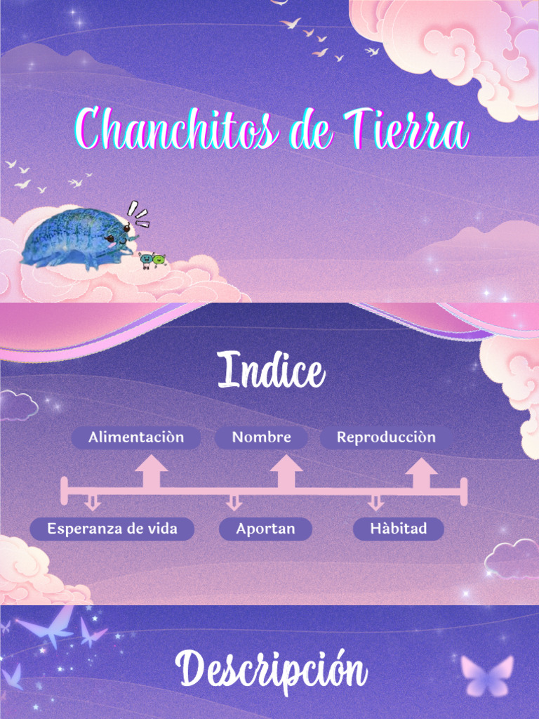 Ciclo de Vida y Alimentación del Chanchito de Tierra | PDF | Hogar ...