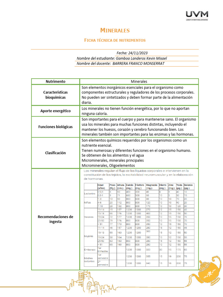 Guía Esencial de Minerales Nutricionales | PDF | Salud y bienestar ...