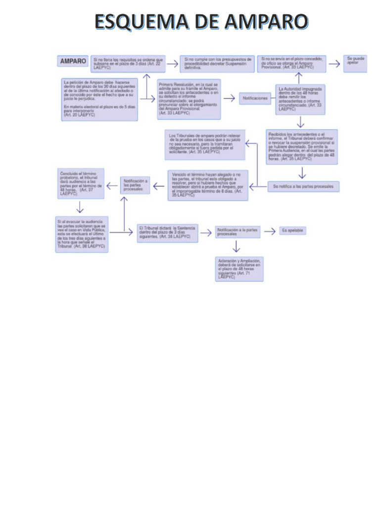 ESQUEMA DE AMPARO | PDF