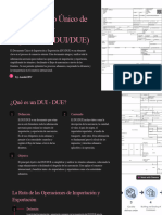 0007 Declaración Andina Del Valor | PDF