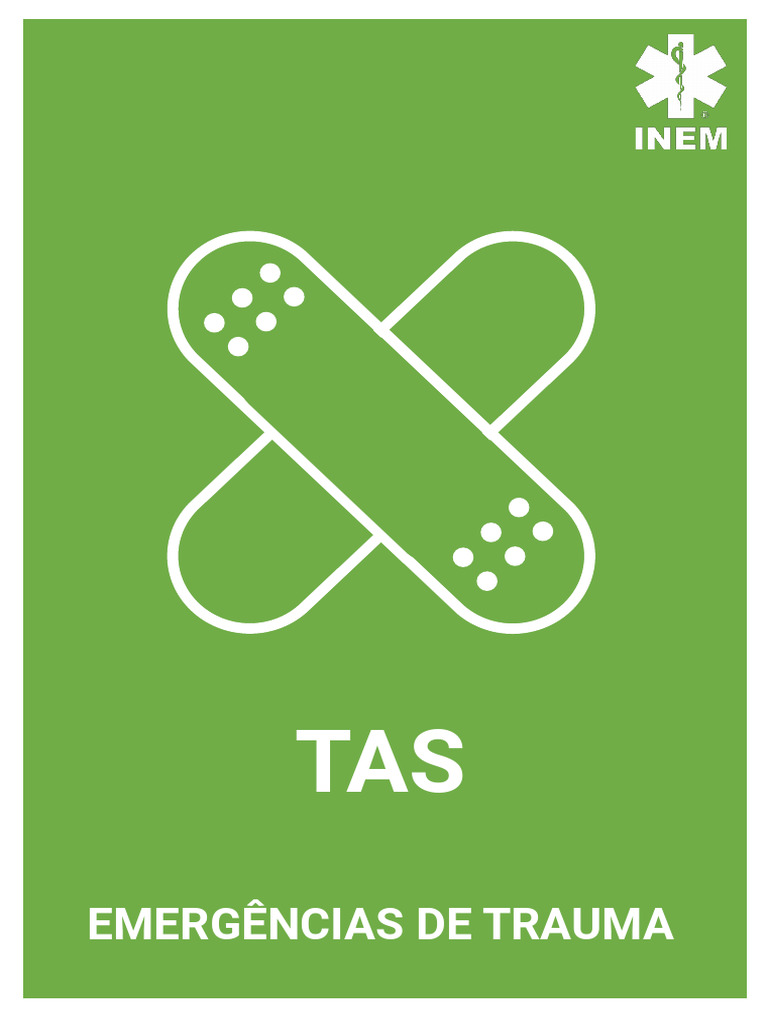 6.tas Et V1 Mar24 | PDF | Airbag | Força 6.tas Et V1 Mar24 | PDF | Airbag | Força