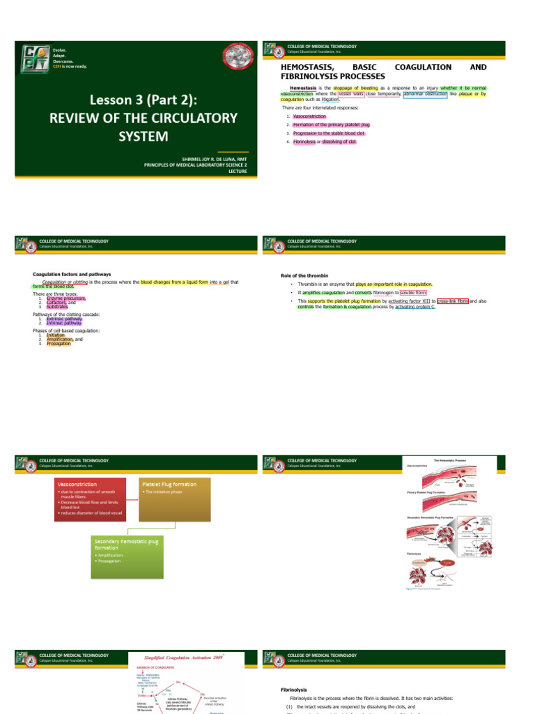 Lesson 3 (Part 2) - Review of The Circulatory System | PDF | Coagulation | Hemostasis
