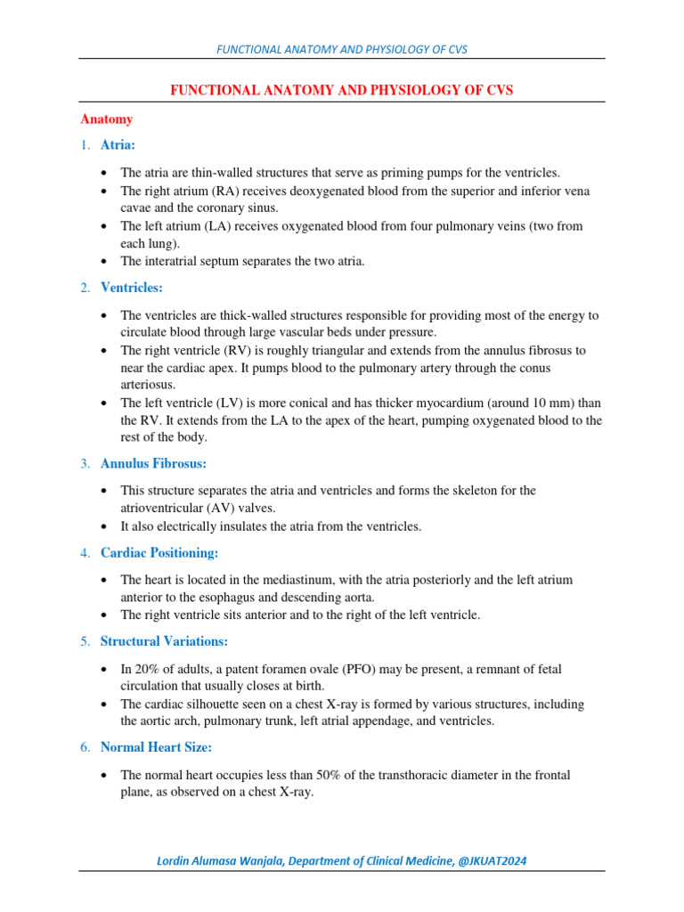 2 Anatomy and Physiology CVS | PDF | Atrium (Heart) | Ventricle (Heart)