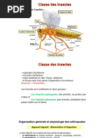 Entomologie Etude Des Insectes | PDF | Insectes | Mouche