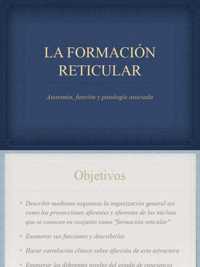 Formación Reticular: Glasgow | PDF | Cerebelo | Cerebro
