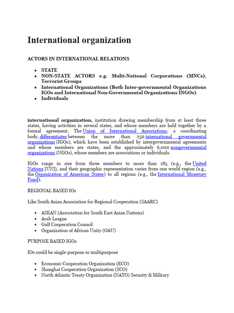 Understanding International Organizations | PDF | Non Governmental ...