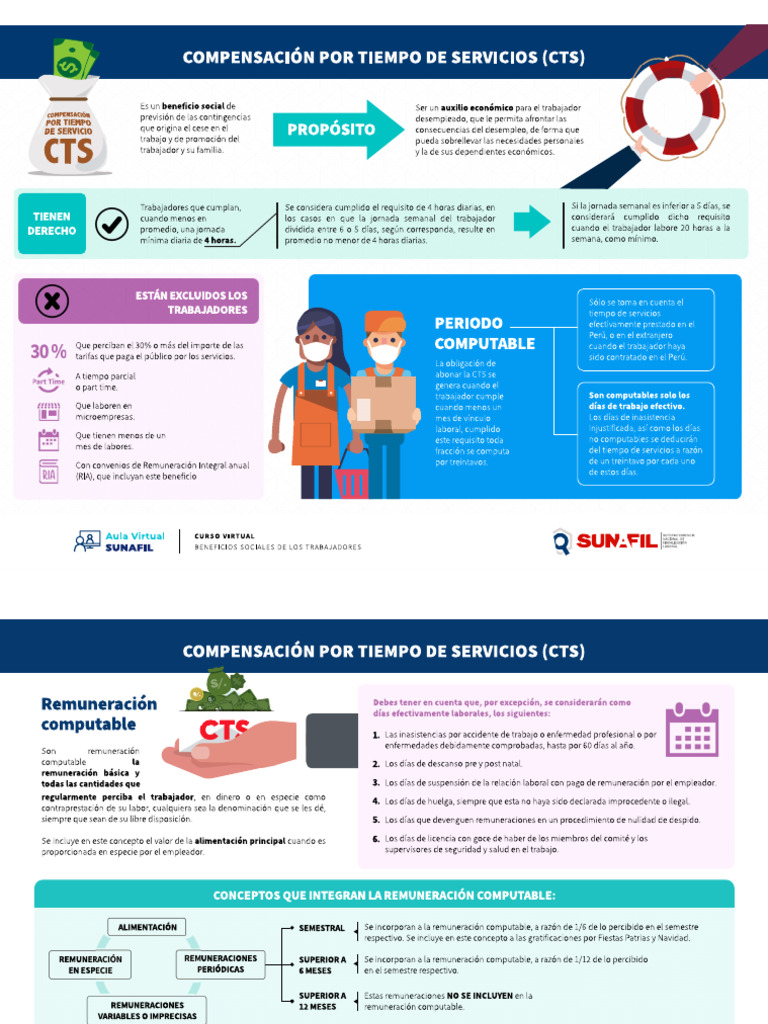 Infografía CTS | PDF