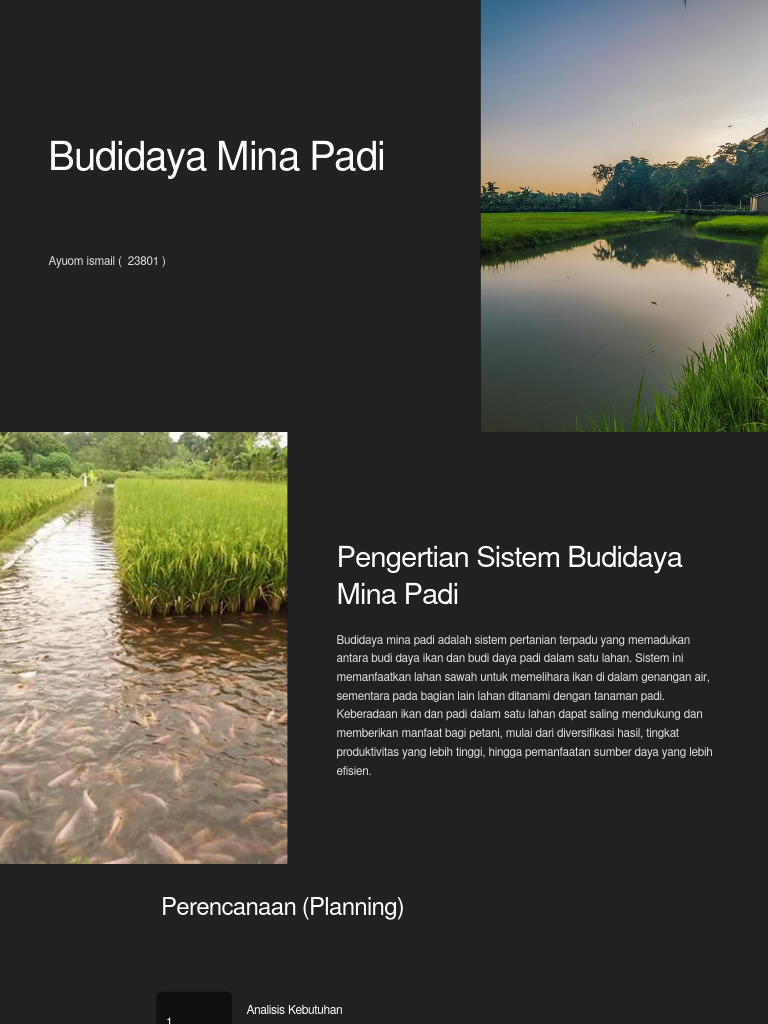 Panduan Budidaya Mina Padi Efektif | PDF | Sains & Matematika ...
