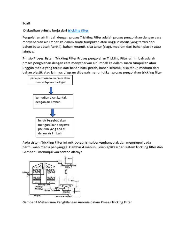 Diskusi 6 Teknik Penanganan Limbah Viana | PDF | Griya & Taman | Sains & Matematika