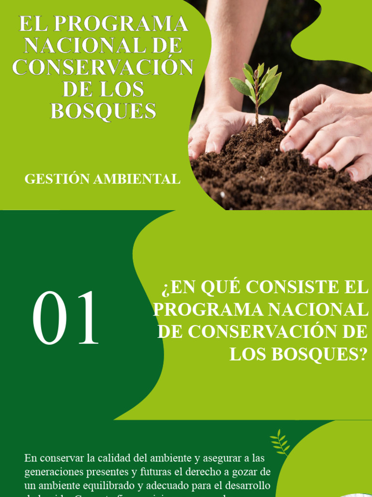 Conservación de Bosques y Gestión Ambiental | PDF | Entorno natural | Ambiente