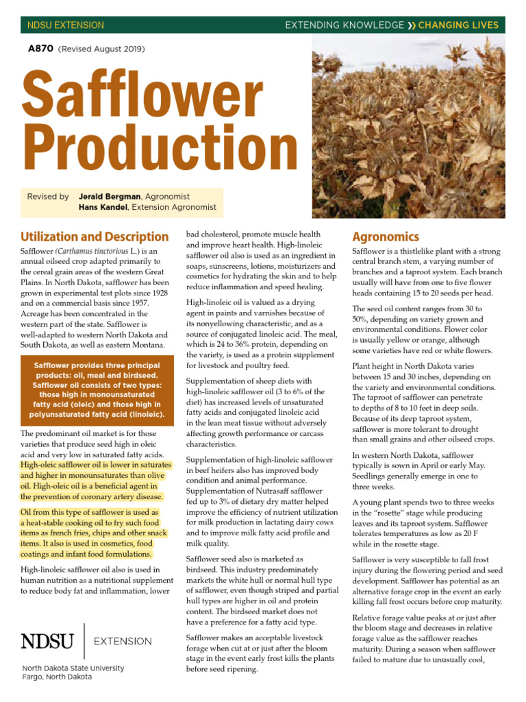 Safflower Production | Download Free PDF | Crop Rotation | Seed