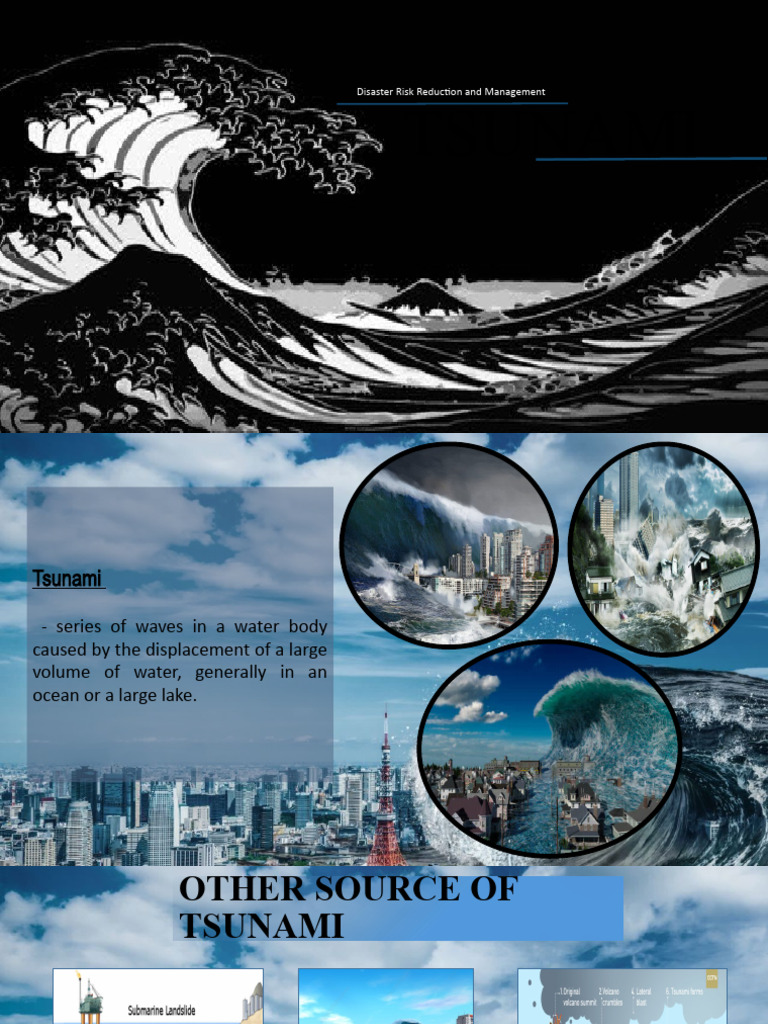 Tsunami Risk Management and Safety Guide | PDF | Tsunami | Earthquakes
