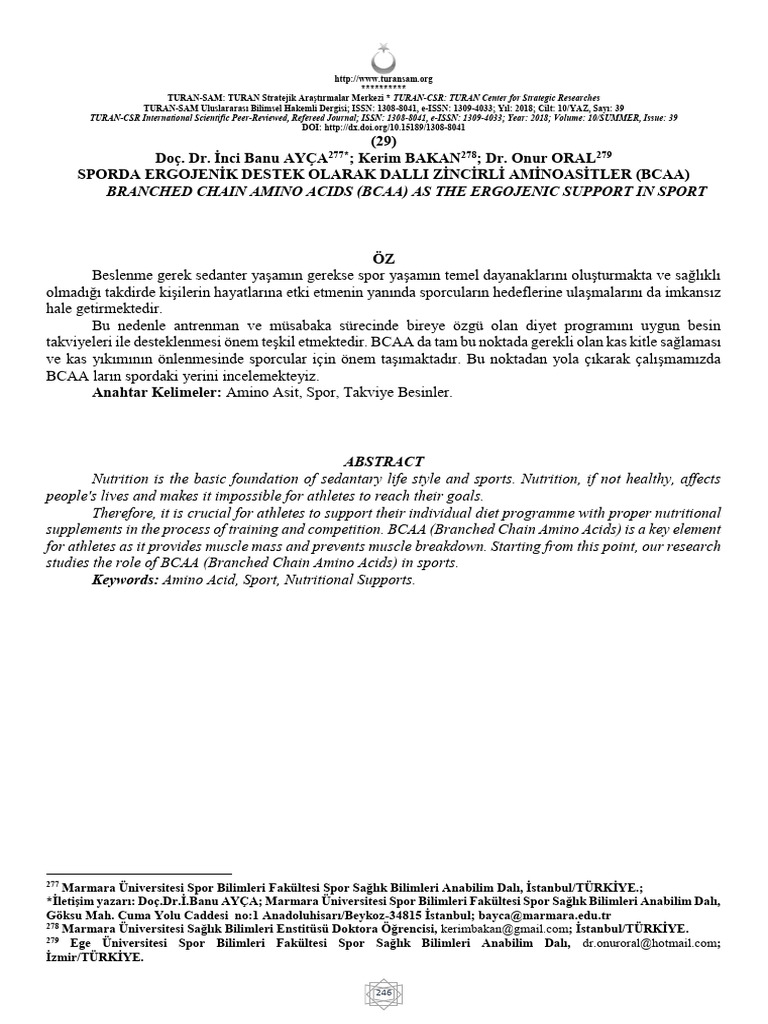 Bcaa Iyi | PDF