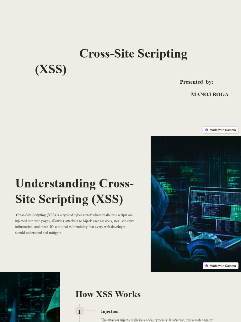 Cross Site Scripting XSS | PDF | Secure Communication | Cyberpunk Themes
