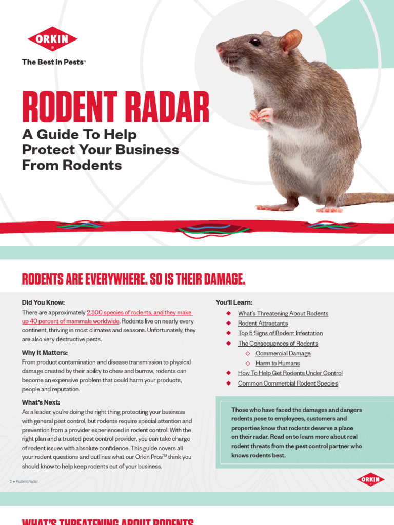 A Guide To Help Protect Your Business From Rodents | PDF | Rodent ...