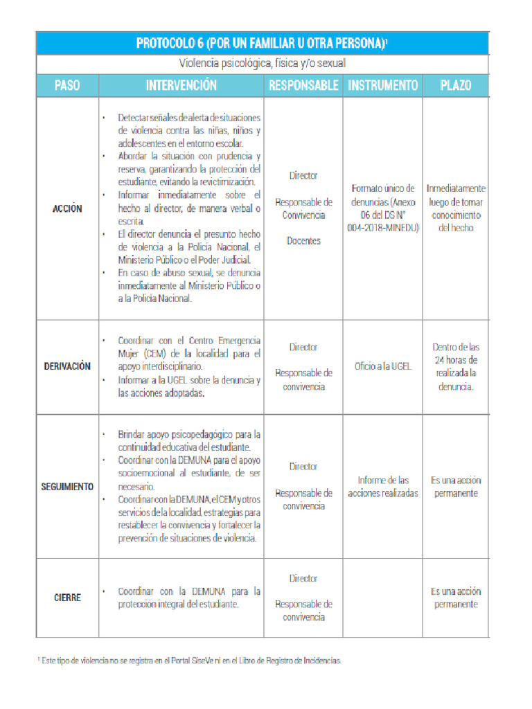 Protocolo 6 Word | PDF
