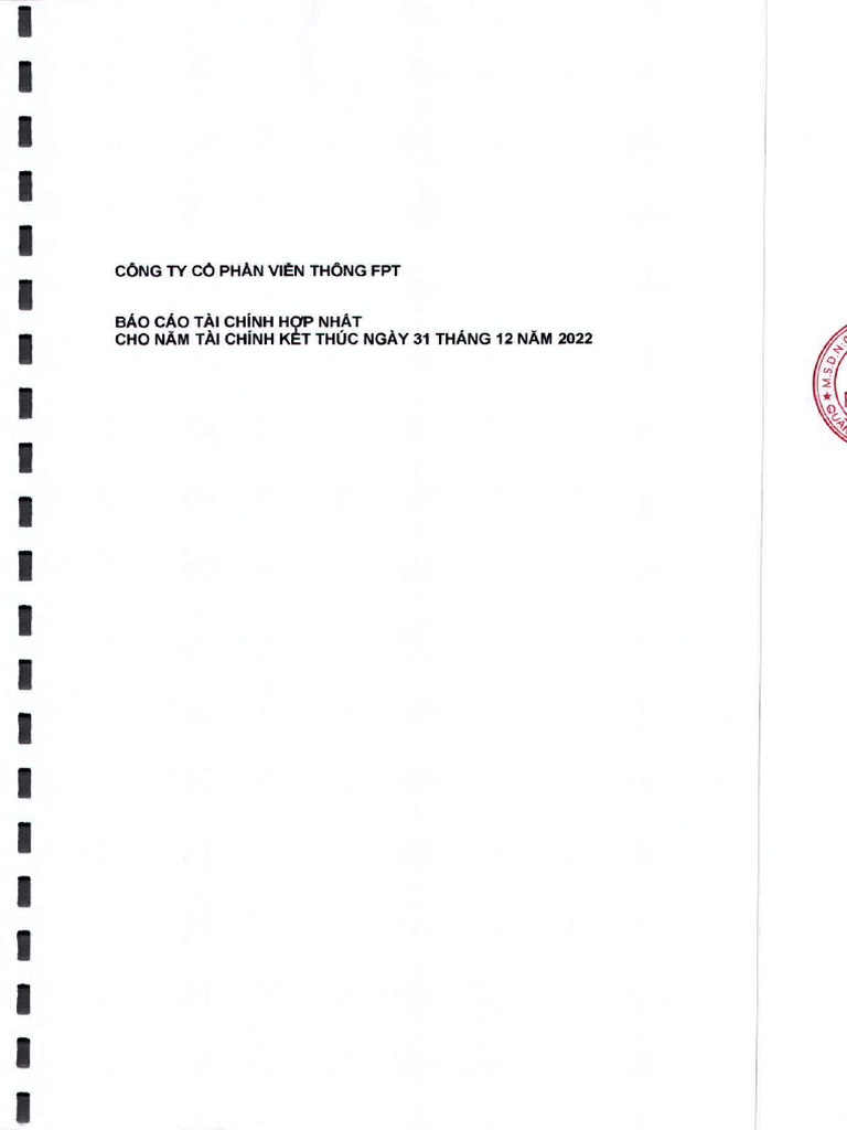 BCTC Hop Nhat 2022 | PDF