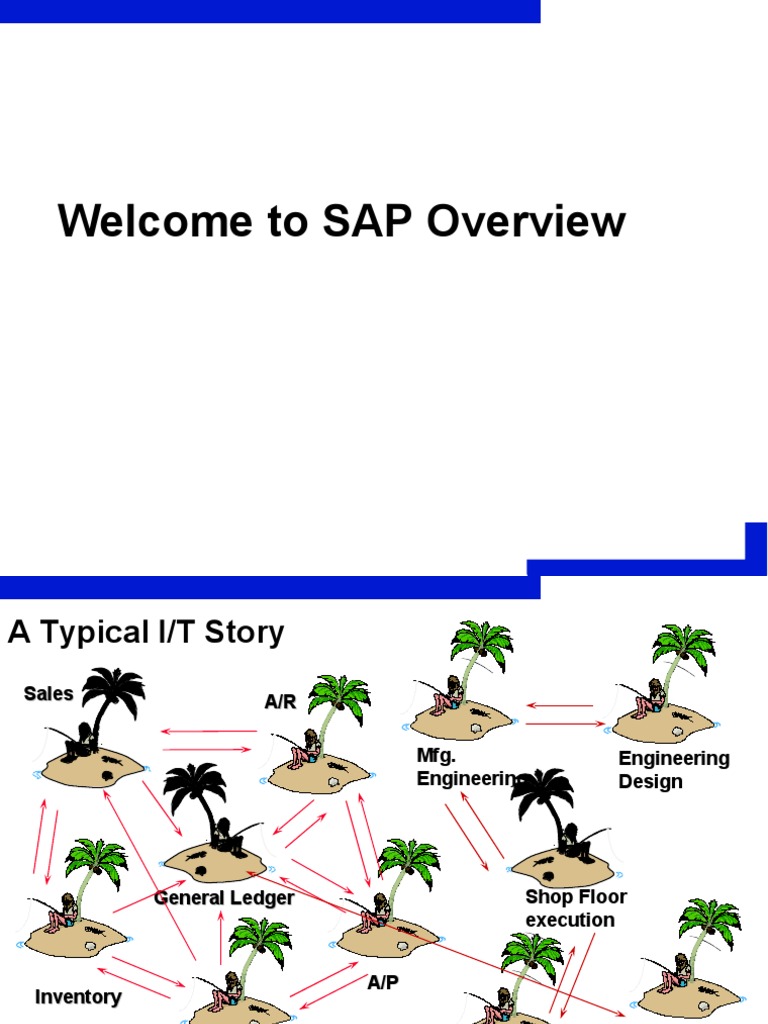 SAP Functional Overview | PDF | Ibm Db2 | Enterprise Resource Planning