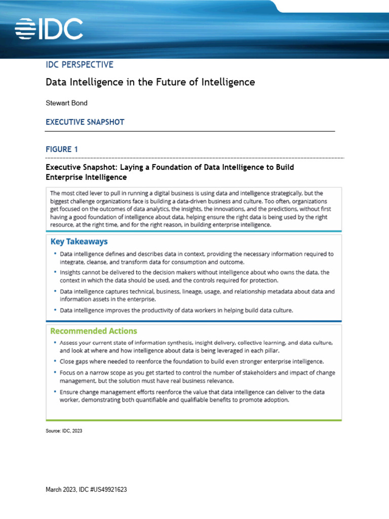 IDC Data Intelligence in The Future of Intelligence - 2023 Mar | PDF ...