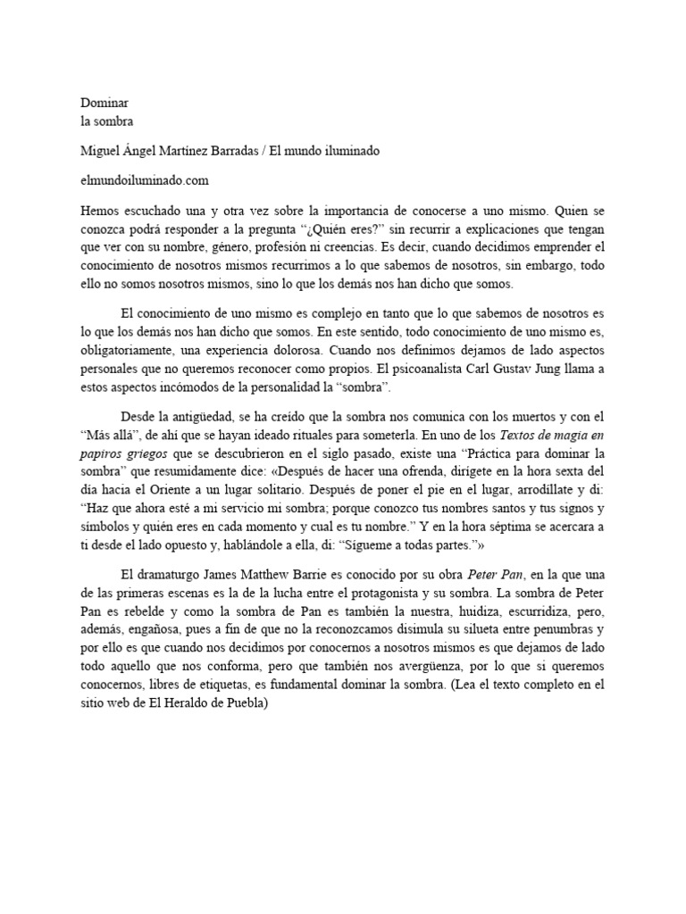 MAMB - Dominar La Sombra (Resumen) | PDF