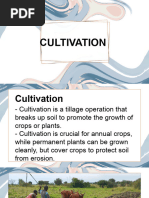 Proper Ways of Cultivation | PDF