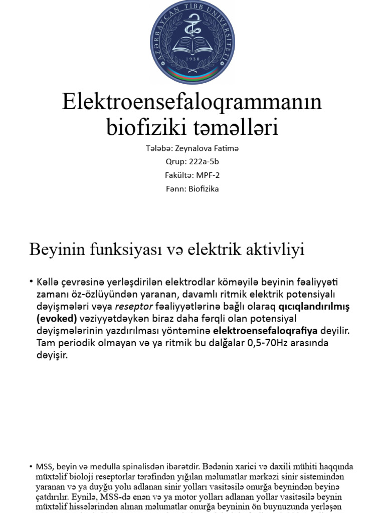 Biofizika EEG | PDF
