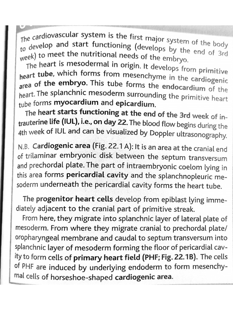 Formation of Heart Tube and Fate of Various Dilations of Heart Tube | PDF