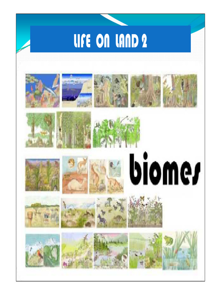 Characteristics of and Adaptations in BIOMES - 2022 | PDF | Griya & Taman
