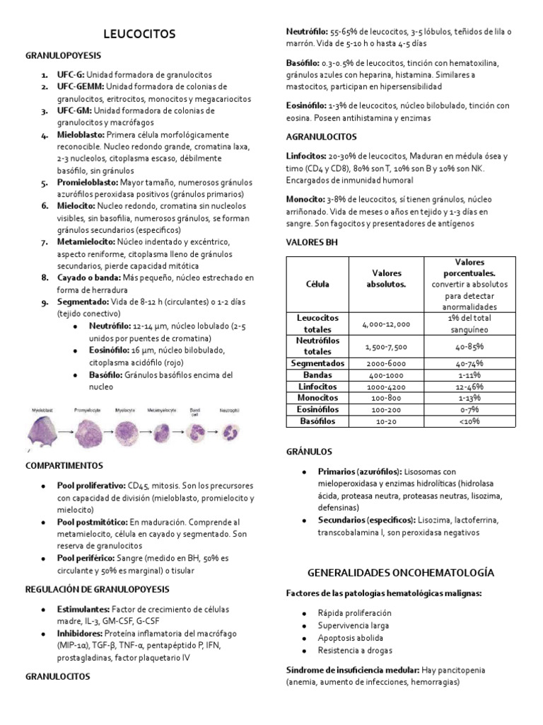 HEMATOLOGÍA | PDF | Leucocito | Sistema inmune
