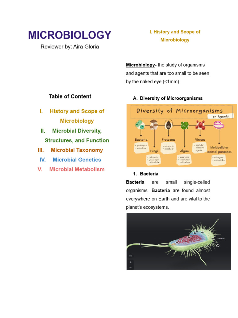 MICROBIOLOGY | PDF | Microbiology | Taxonomy (Biology)