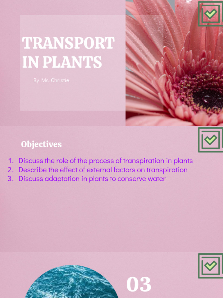 Week 2 of Transport in Plants 2021 | PDF | Home & Garden