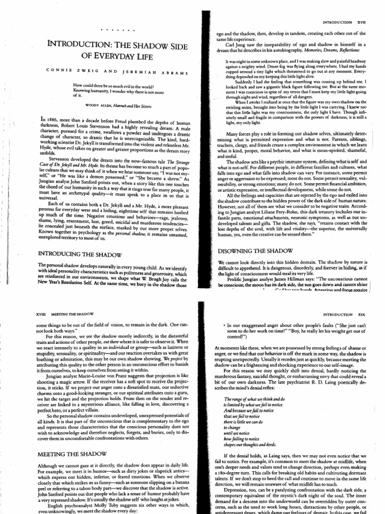 The Shadow of Everyday Life | PDF