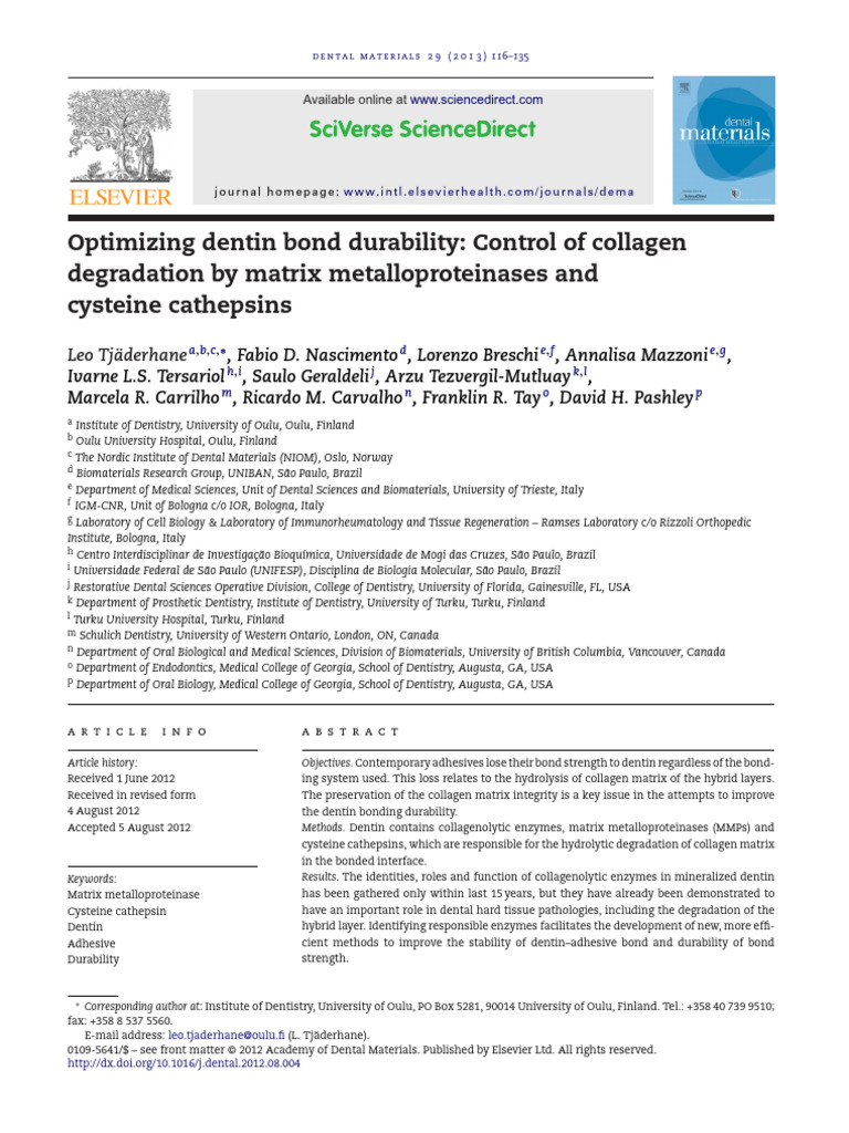 Optimizing Dentin Bond Durability: Control of Collagen Degradation by ...