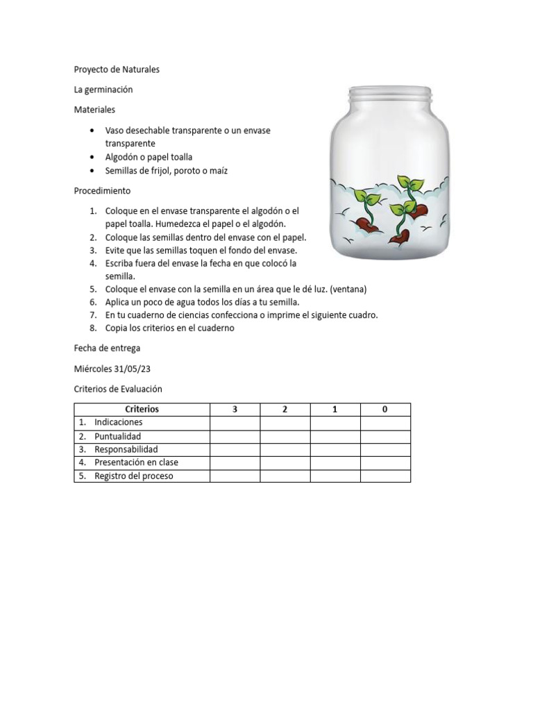 Proyecto de Naturales Germinacion | PDF | Hogar y jardín