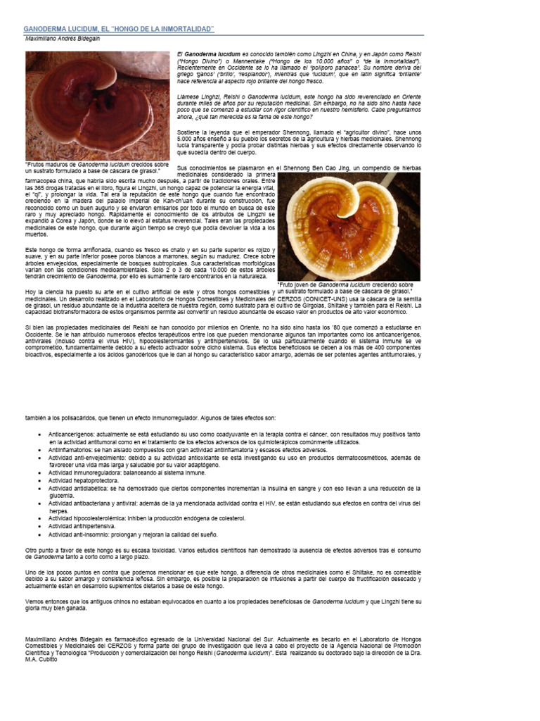 Ganoderma Lucidum | PDF